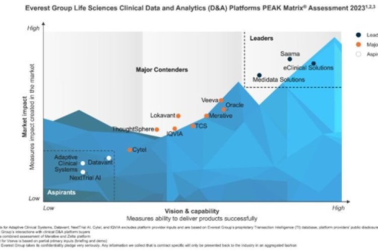 eClinical Solutions Named a Leader in Everest Group's Life Sciences ...