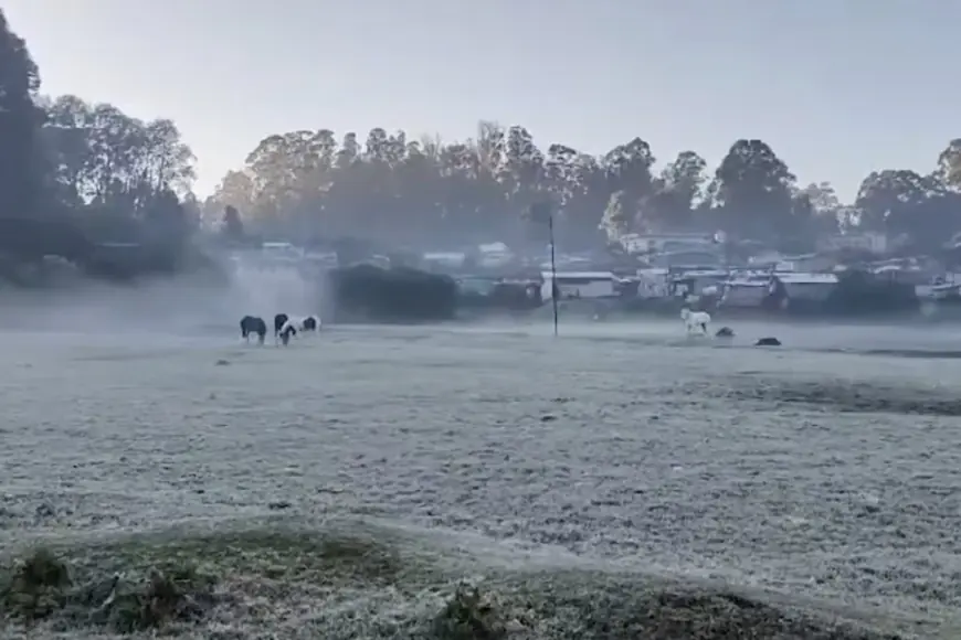 Ooty becomes 'mini Kashmir', mercury reaches 1.3 degrees; Layer of snow ...
