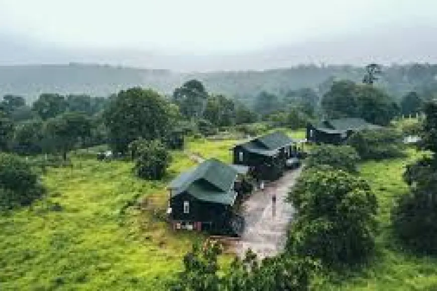 Spend peaceful moments away from the hustle and bustle of the city in ...