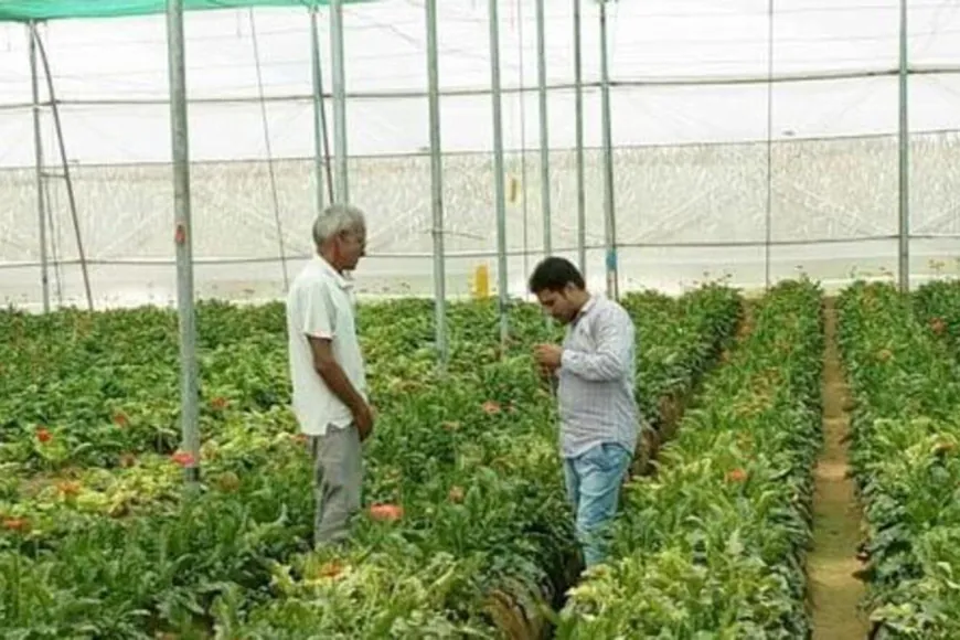 Agriculture Minister emphasized horticulture: 9 new plants will be set ...